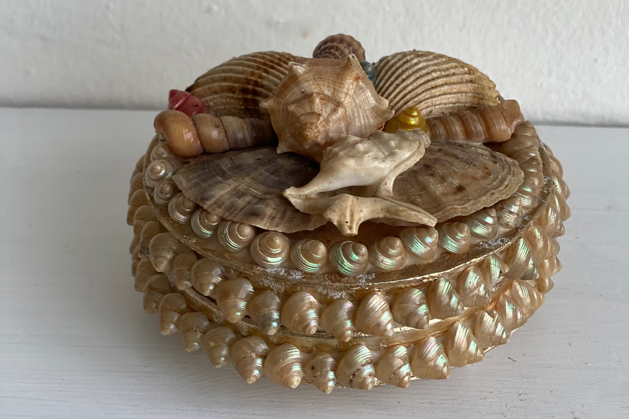 Antique Seashell Box